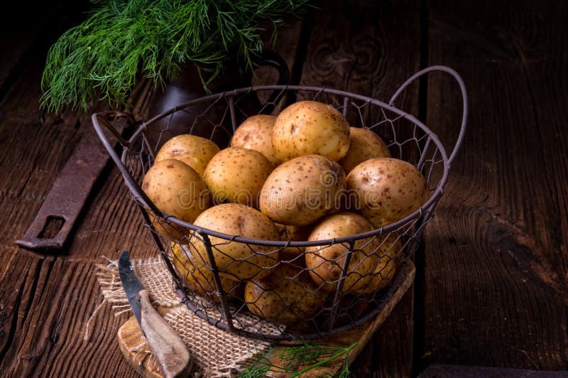 New small potatoes stock photo. Image of cooked, natural - 95558660
