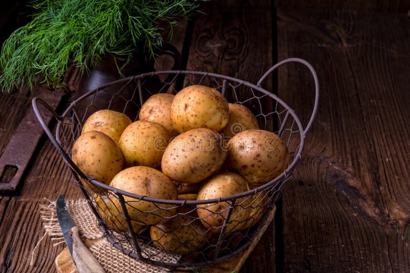 New small potatoes stock image. Image of dark, organic - 95907119