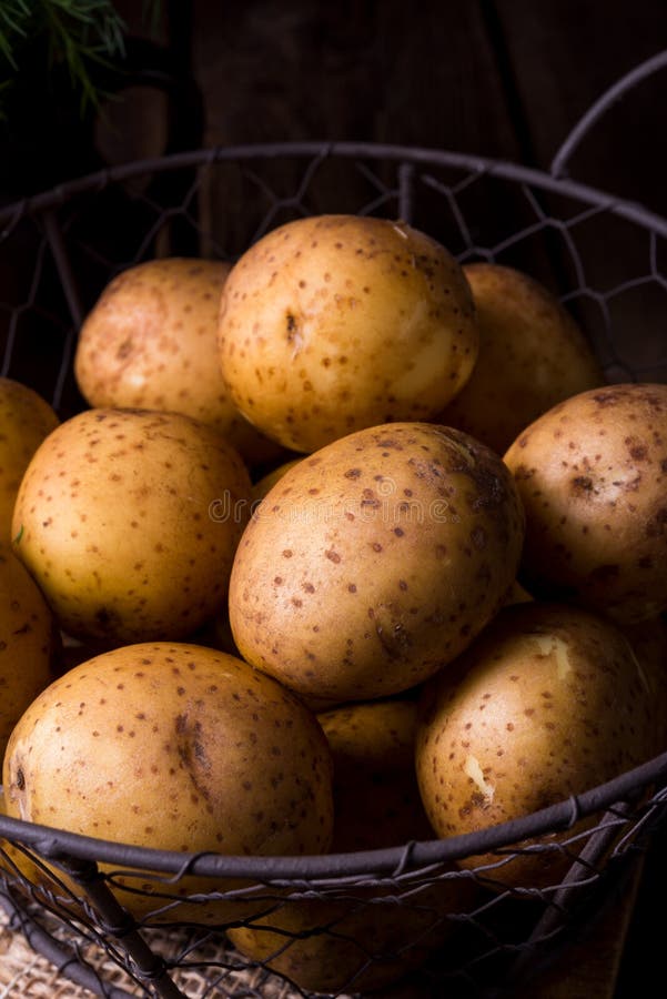 New small potatoes stock photo. Image of natural, pile - 95983222