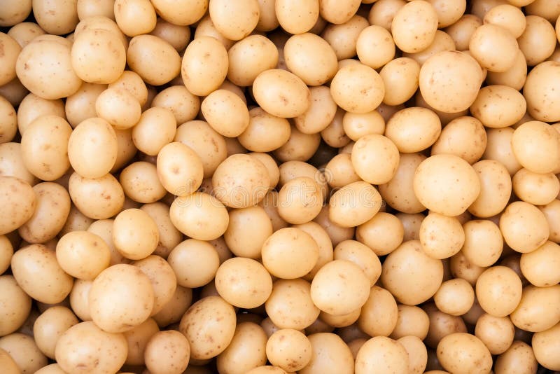 New small potatoes stock photo. Image of small, full - 33875832