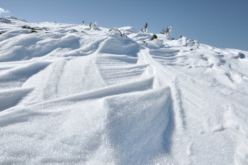 New snow fall, snow ground stock photo. Image of field - 60143646