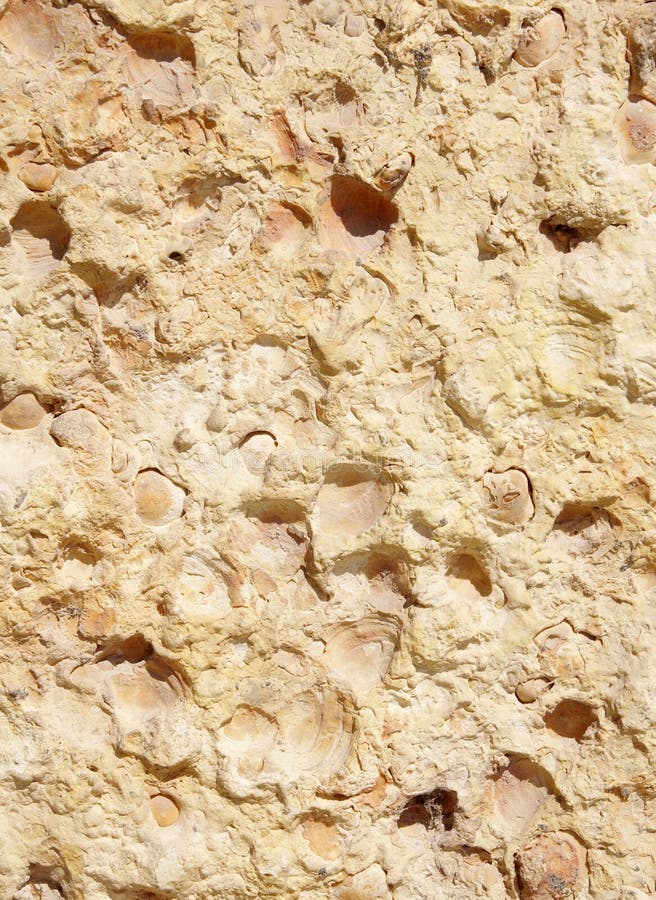 New Stone Cladding Plate Closeup Stock Image - Image of sedimentary ...
