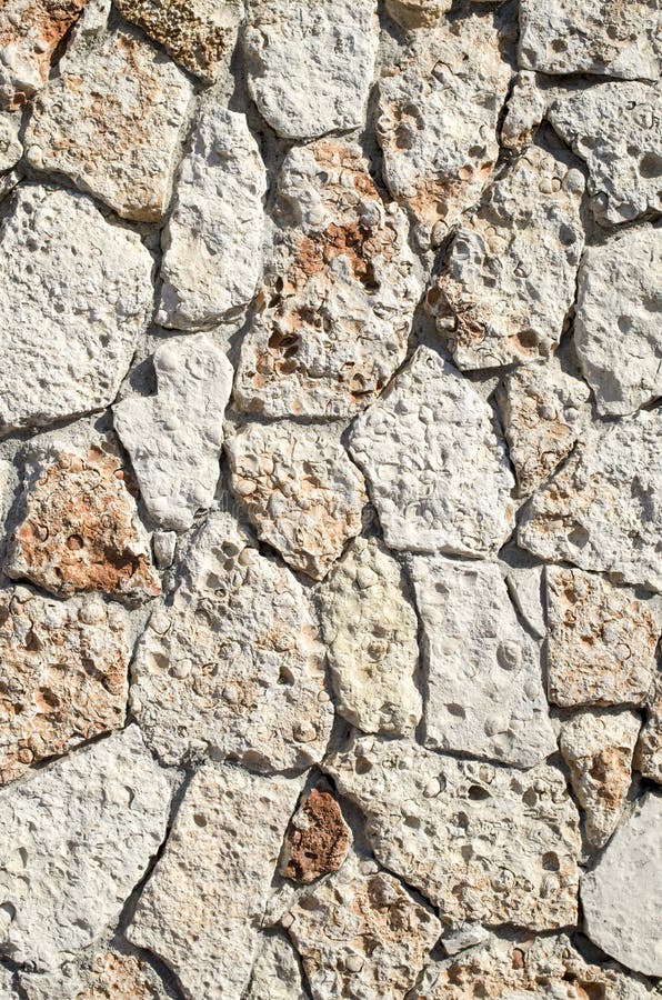 New Stone Cladding Plates on Wall Stock Image - Image of fossil ...