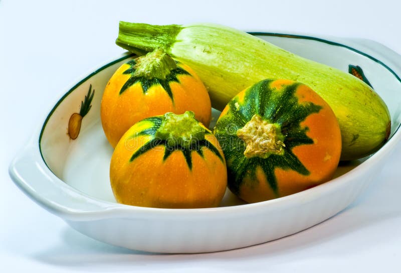 A New Strain - Round Vegetable Marrow Stock Photo - Image of green ...
