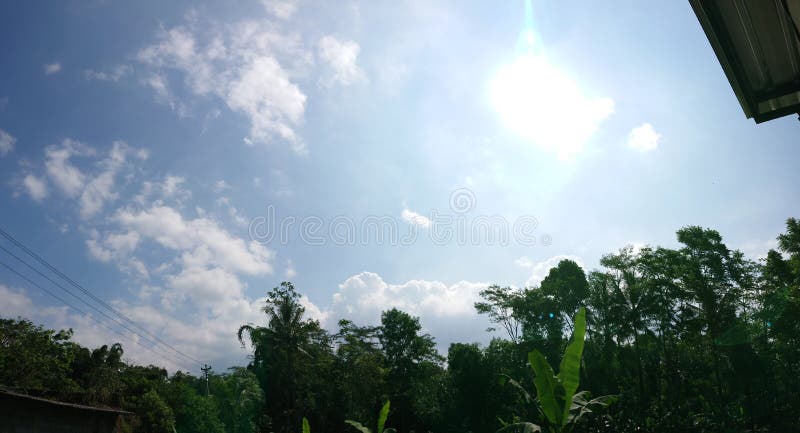 New Summer in June stock photo. Image of sunlight, summer - 220728434