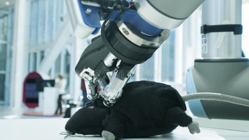 New Technologies among Us. the Hand of the Robot Takes a Soft Toy in ...