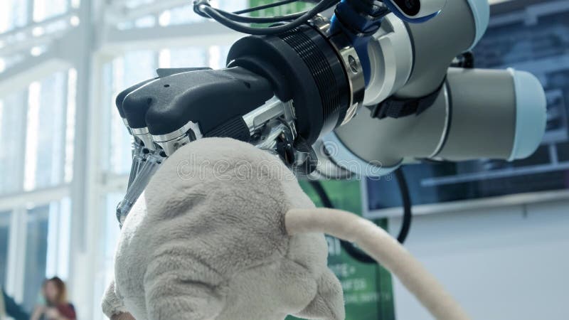 New Technologies among Us. the Hand of the Robot Takes a Soft Toy in ...