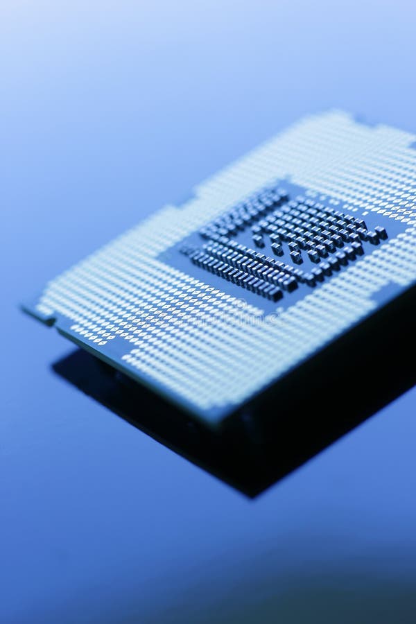 Processor stock photo. Image of internet, macro, board, blurred - 13196