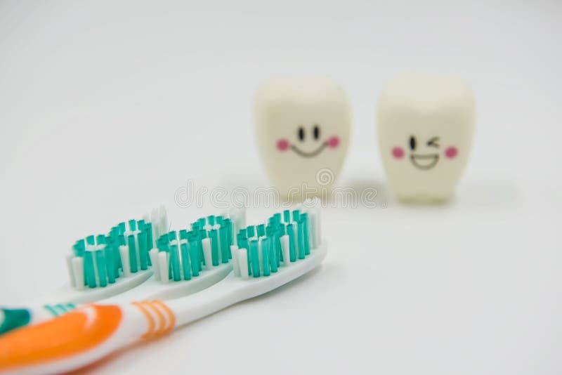 New Toothbrush and Model Cute Toys Teeth in Dentistry on a White ...