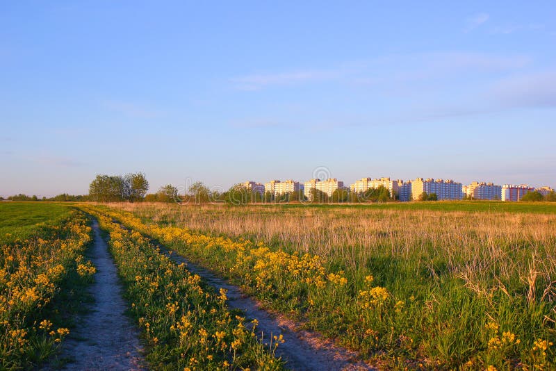 New Town Houses in the Meadow. Stock Image - Image of dwelling, house ...