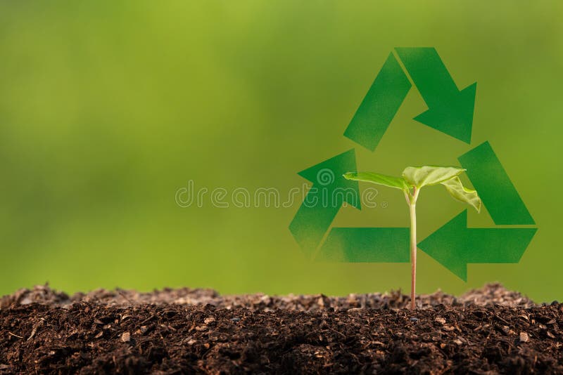 The New Tree and the Recycling Symbol Stock Image - Image of tree ...