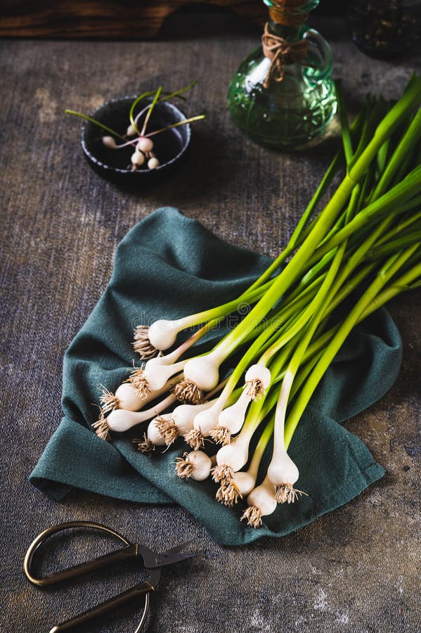 New Trendy Vegetable Sweet Garleek on a Cloth on the Table Vertical ...