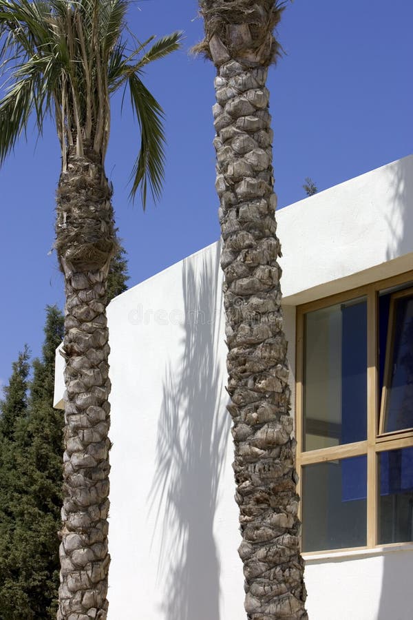New, White Building with Palm Trees and Blue Sky Stock Image - Image of ...
