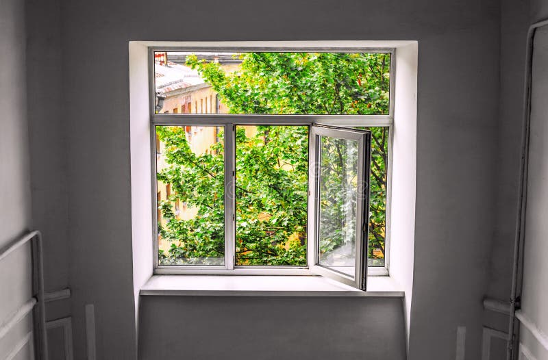 A New Window with an Open Sash and the View of Bright Green Foliage of ...