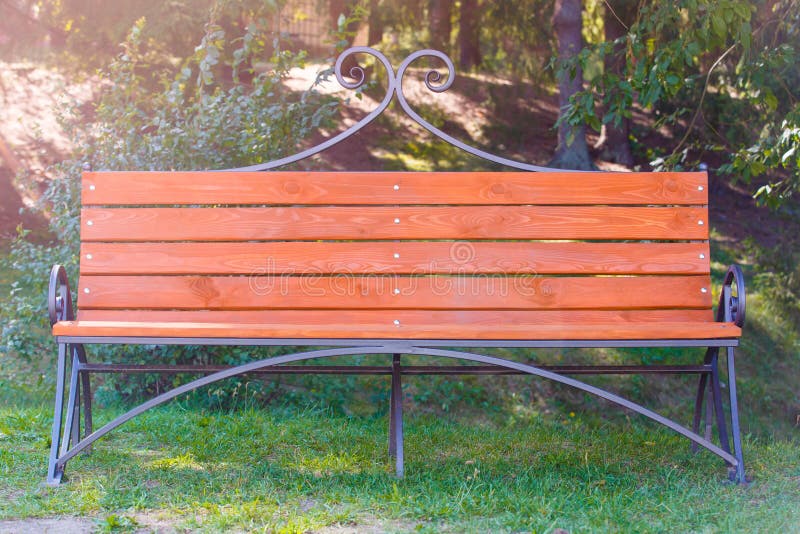 Front View Of A Bench In A Park Stock Photo - Image of plant, grass ...