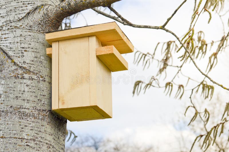 New Wooden Birdhouse on a Tree Stock Image - Image of spring ...