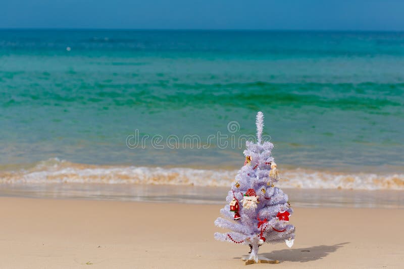 New Year Decorated Tree on a Beach Stock Image - Image of symbol ...