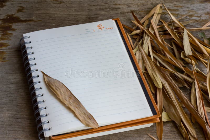 New Year diary stock photo. Image of year, diary, book - 48316570