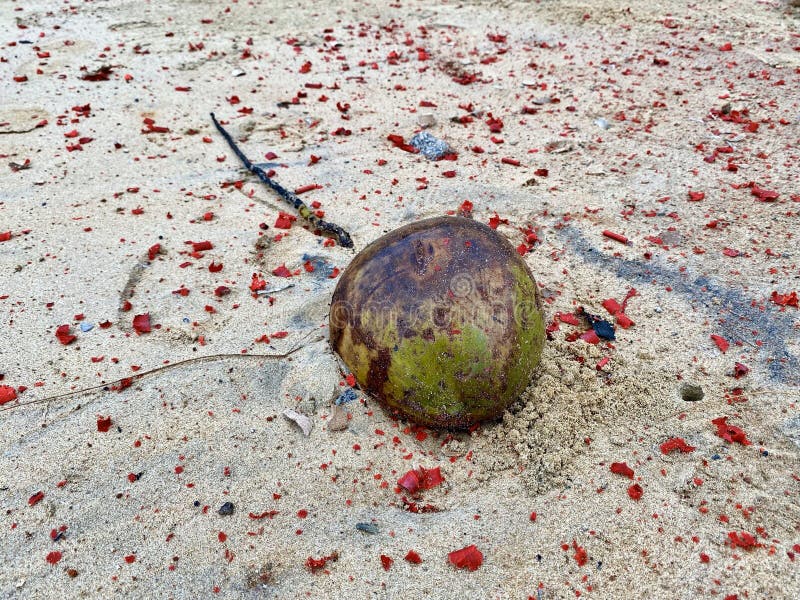 Coconut and firework stock photo. Image of design, flooring - 360000464