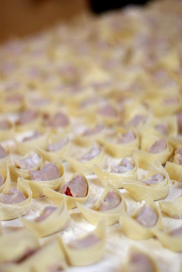 Chinese Hundun Soup Spices stock photo. Image of mince - 134091296