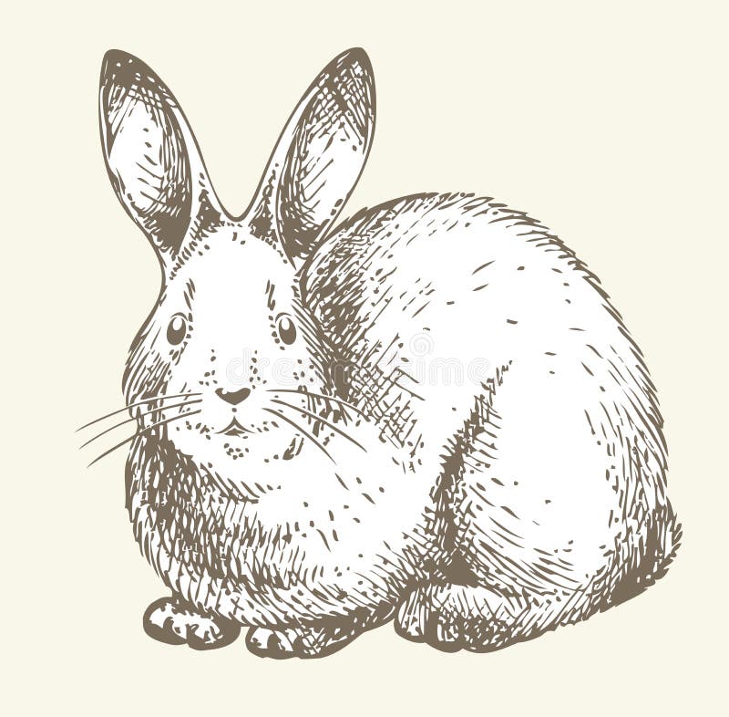 New year rabbit drawing stock vector. Illustration of happy - 16977979