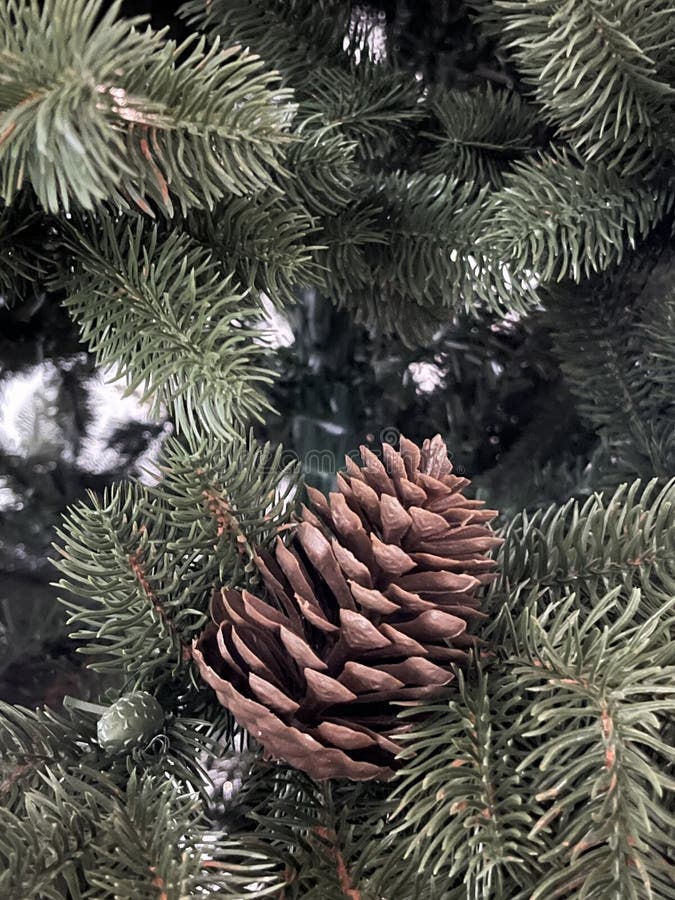 New Year S Card. Happy New Year Stock Image - Image of flower, spruce ...