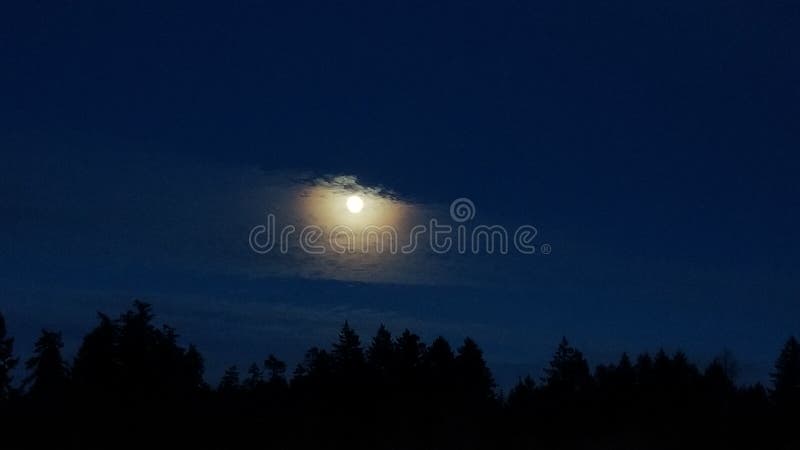 New Years Eve Moon stock photo. Image of saanichton - 107324386