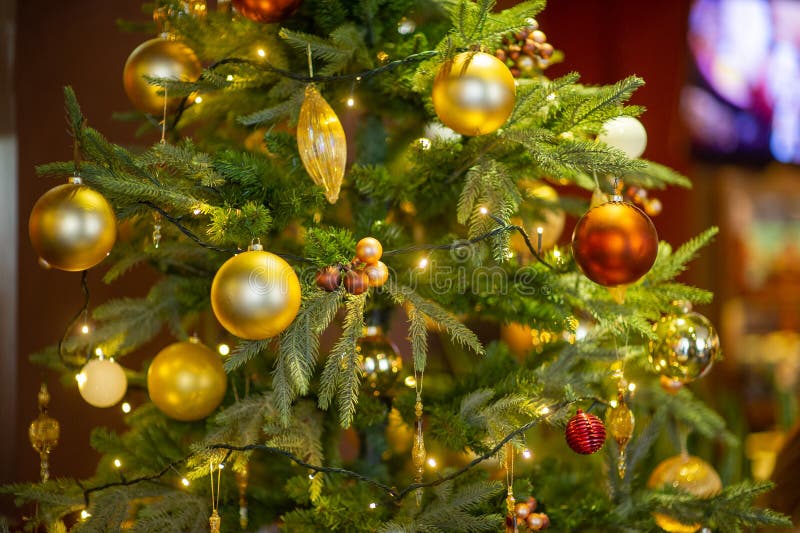 New Year`s Interior. Christmas Tree. Christmas.toys Under the Christmas ... New Year`s Interior. Christmas Tree. Christmas.toys Under the Christmas ...