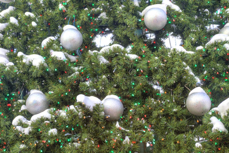 New-year tree stock image. Image of christmas, hoarfrost - 46374323