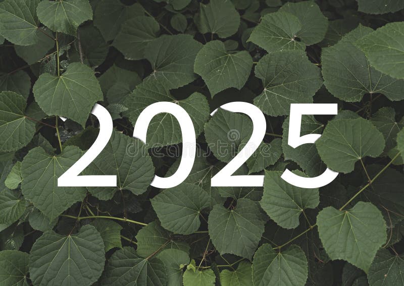 2025 New Year White Text Hidden in Natural Green Leaves Wall Stock ...