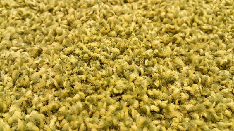 Yellow Carpet Texture