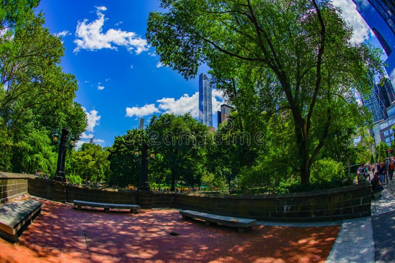New York Central Park Bench Editorial Stock Image - Image of park ...