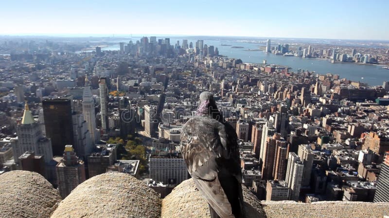 New York City Grand Central Terminal, 42 Street, Park Avenue, Pershing ...