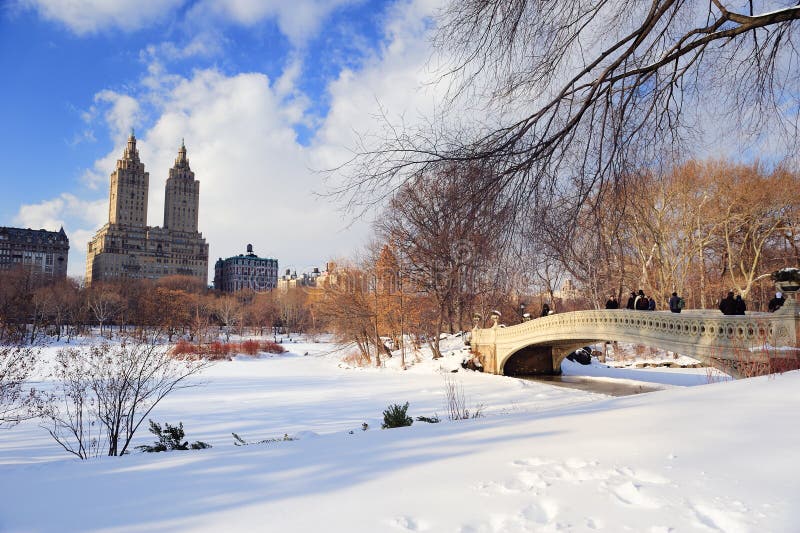 New York City Manhattan Central Park in Winter Stock Photo - Image of ...