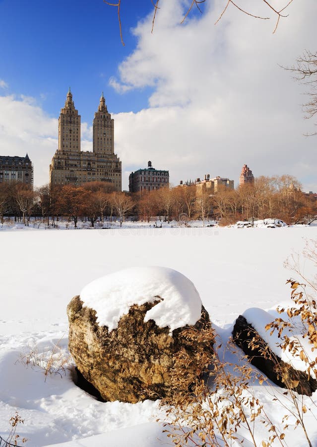 New York City Manhattan Central Park in Winter Stock Photo - Image of ...