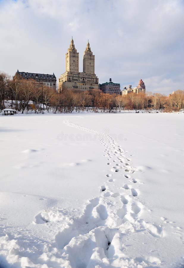 New York City Manhattan Central Park in Winter Stock Photo - Image of ...
