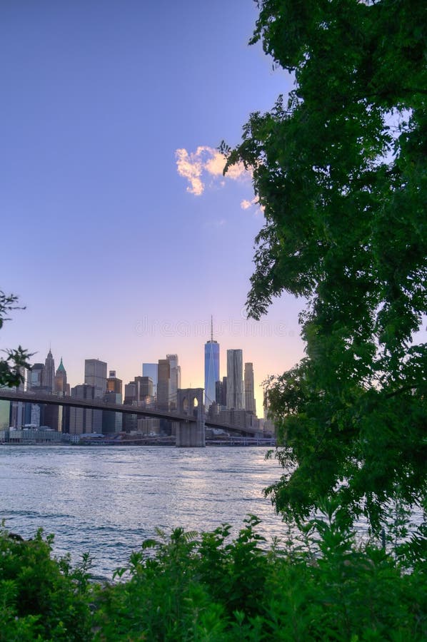 The New York City Skyline from Brooklyn, New York Stock Image - Image ...