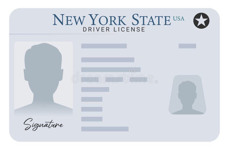 New York Driver License Stock Illustrations – 16 New York Driver ...