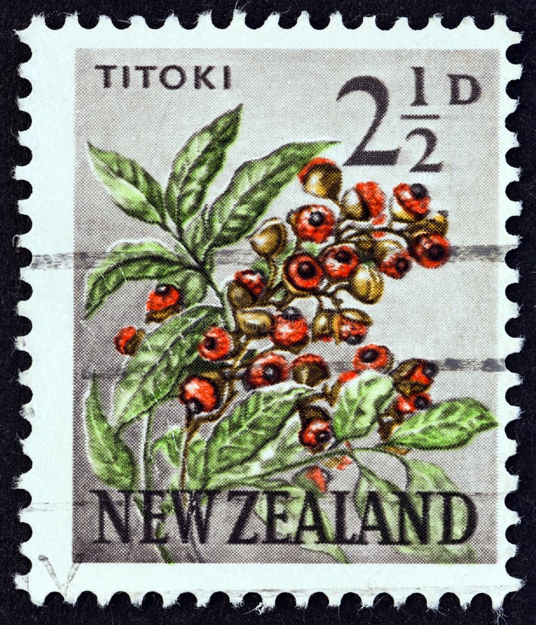 NEW ZEALAND - CIRCA 1960: a Stamp Printed in New Zealand Shows Titoki ...