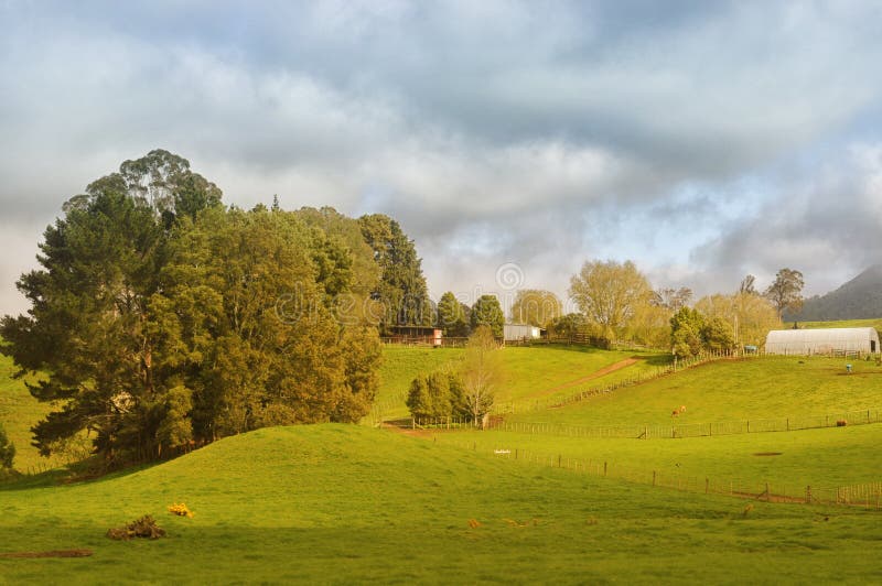 New Zealand`s Countryside stock photo. Image of countryside - 96693056