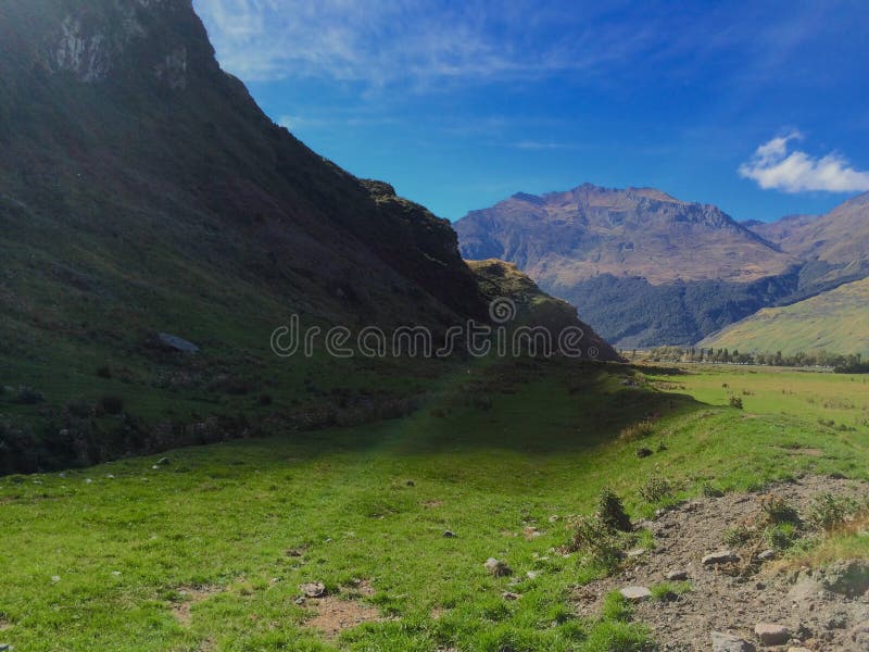 New Zealand stock photo. Image of zealand, deep, green - 52278502