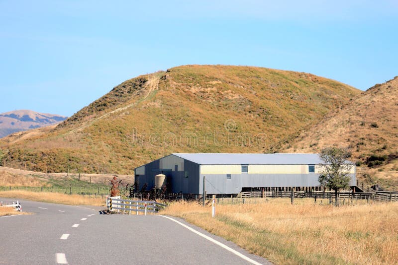 New Zealand Farm Building stock image. Image of shearing - 69382697