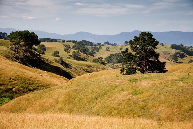 New Zealand hills stock image. Image of pond, lord, vacation - 26964421