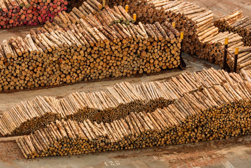 124 Radiata Logs Photos - Free & Royalty-Free Stock Photos from Dreamstime