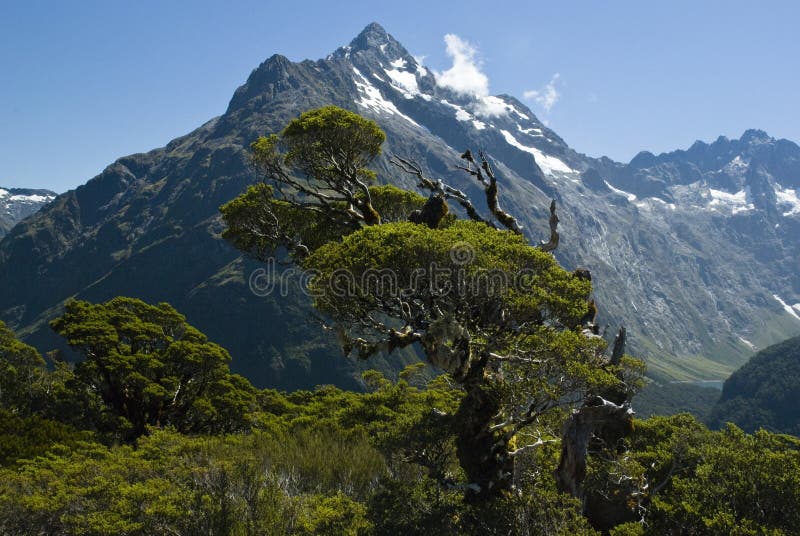 New Zealand S Southern Alps Stock Photo - Image of fiordland, land: 6814632