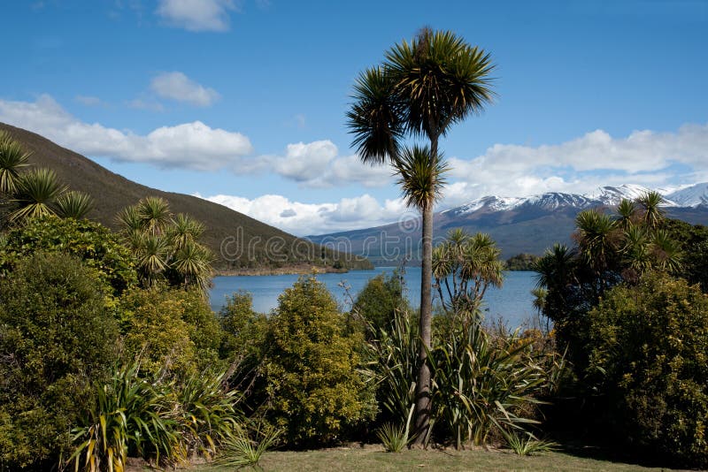 New Zealand Scenic Landscape. Stock Photo - Image of tongariro, bush ...