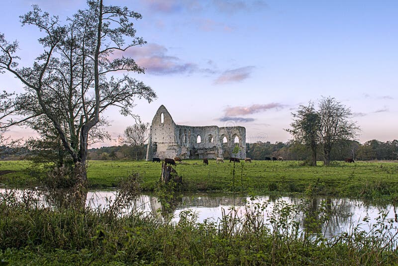 Newark Priory, Viewed from Across the River Wey. Stock Photo - Image of ...