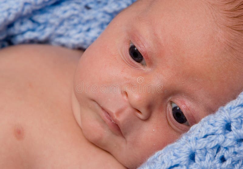 Newborn stock image. Image of gaze, infant, cute, expression - 698429