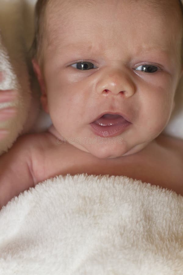 Newborn baby stock photo. Image of close, gorgeous, asleep - 54263632
