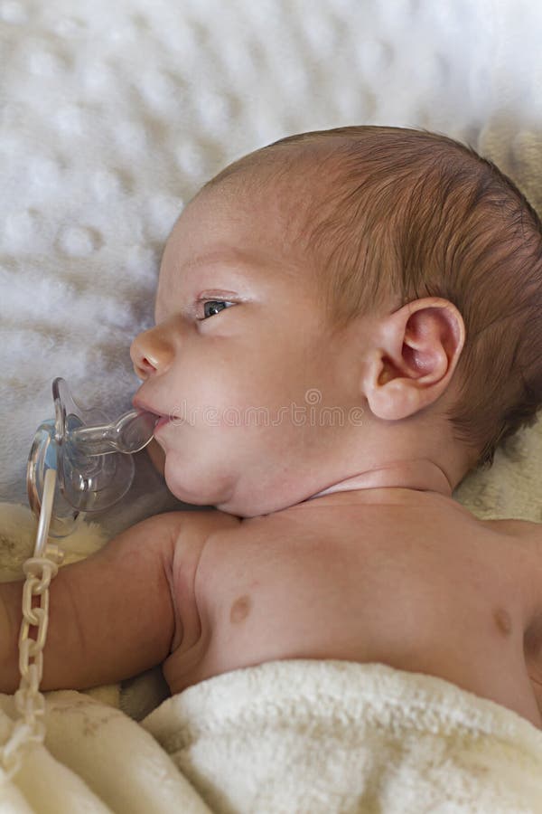 Newborn baby stock image. Image of healthy, innocent - 54265687